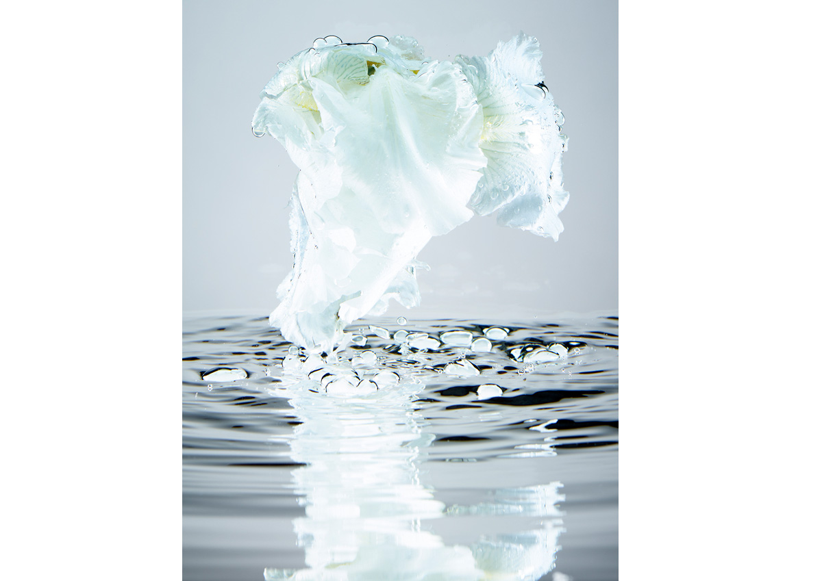 Marcel Christ - Johnnie Walker